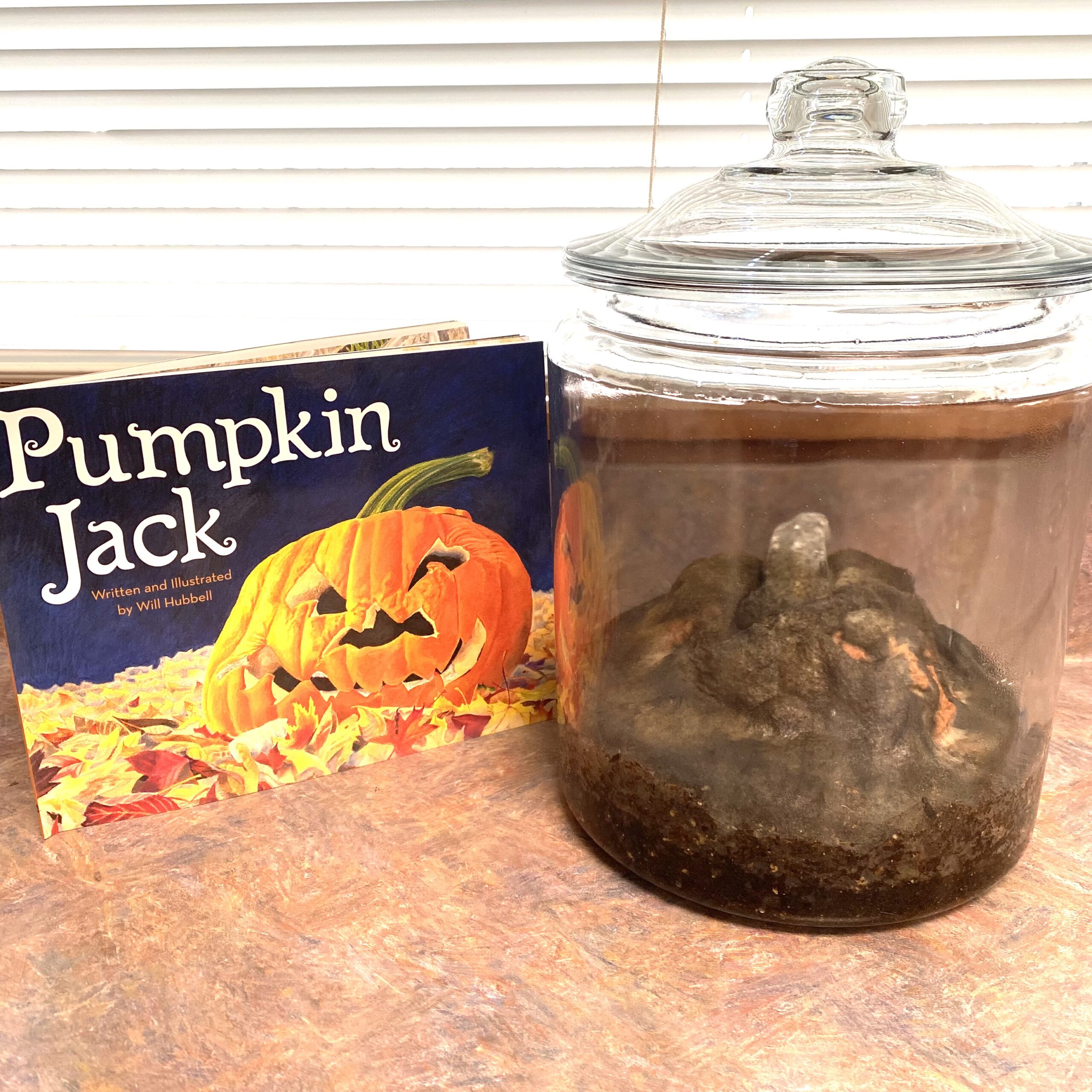 Pumpkin STEAM Day Fun - Kinderbrations