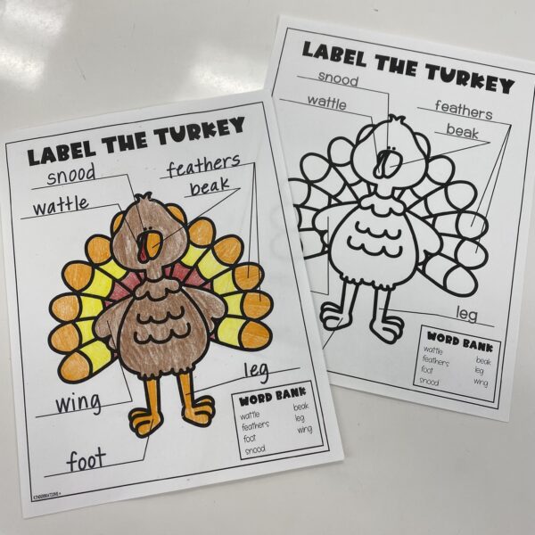 Gobble Up the Fun: Ideas for a Turkey-Themed STEAM Day in Kindergarten ...