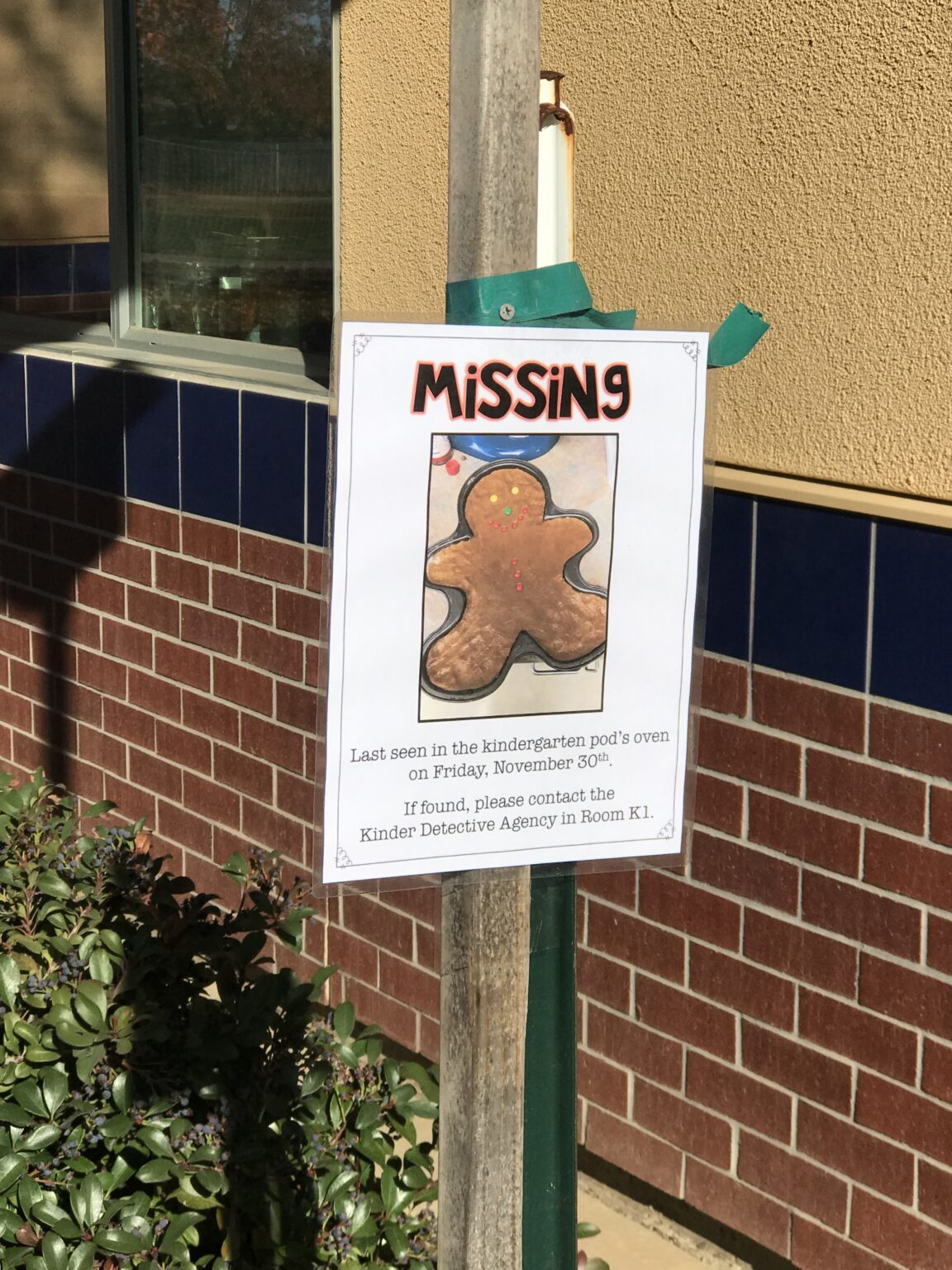 The Gingerbread Detective Agency: A Mystery Learning Adventure for ...